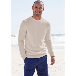 Strickpullover AUTHENTIC LE JOGGER Gr. S (44/46), beige (creme) Herren Pullover Rundhalspullover