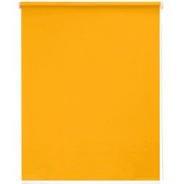 Seitenzugrollo SUNLINES "One size Style uni Verdunkelung" Rollos Gr. 180 cm, 182 cm, gelb (sonnengelb) Verdunkelungsrollos