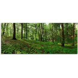 Glasbild Artland "Panorama von einem grünen Sommerwald" Bilder Gr. B/H: 125 cm x 50 cm, Wald, 1 St., grün Glasbilder