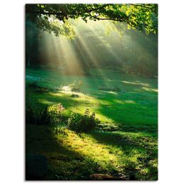 Wandbild Artland "Lichtkegel" Bilder Gr. B/H: 90 cm x 120 cm, Leinwandbild Wald Hochformat, 1 St., grün Kunstdrucke