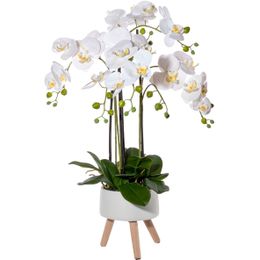 Kunstorchidee Creativ green "Orchidee Phalaenopsis in Keramikschale" Kunstpflanzen Gr. H: 75 cm, 1 St., weiß Kunst-Orchideen