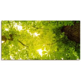Wandbild Artland "Blick nach Oben im Wald, grüne Bäume" Bilder Gr. B/H: 100 cm x 50 cm, Leinwandbild Blätterbilder Querformat, 1 St., grün Kunstdrucke