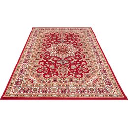Teppich NOURISTAN "Parun Täbriz" Teppiche Gr. B/L: 160 cm x 230 cm, 9 mm, 1 St., rot Orientalische Muster