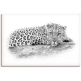Wandbild Artland "Leopard High Key Optik" Bilder Gr. B/H: 90 cm x 60 cm, Leinwandbild Wildtiere Querformat, 1 St., schwarz Kunstdrucke