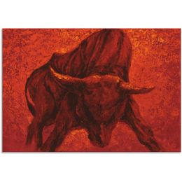 Wandbild Artland "Katalanischer Stier" Bilder Gr. B/H: 100 cm x 70 cm, Alu-Dibond-Druck Wildtiere, 1 St., rot Kunstdrucke