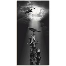 Wandbild Artland "Raben in der Nacht" Bilder Gr. B/H: 50 cm x 100 cm, Leinwandbild Vögel, 1 St., schwarz Kunstdrucke
