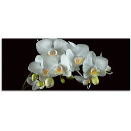 Glasbild Artland "Weiße Orchidee auf schwarzem Hintergrund" Bilder Gr. B/H: 125 cm x 50 cm, Blumen, 1 St., weiß Glasbilder