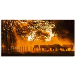 Wandbild Artland "Goldenes Licht auf der Pferdewiese" Bilder Gr. B/H: 150 cm x 75 cm, Leinwandbild Haustiere Querformat, 1 St., orange Kunstdrucke