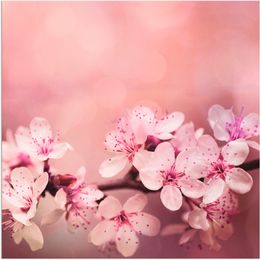 Wandbild Artland "Kirschblüten" Bilder Gr. B/H: 70 cm x 70 cm, Alu-Dibond-Druck Blumen quadratisch, 1 St., pink Kunstdrucke