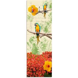 Garderobenleiste Artland "Papagei" Garderobenhalter Gr. B/H/T: 45 cm x 140 cm x 2,8 cm, bunt Haken