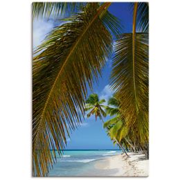 Leinwandbild Artland "Palmenstrand, Insel Isla Saona" Bilder Gr. B/H: 60 cm x 90 cm, Karibikbilder Hochformat, 1 St., blau Leinwandbilder