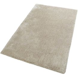 Hochflor-Teppich Esprit "Relaxx" Teppiche Gr. B/L: 240 cm x 340 cm, 25 mm, 1 St., beige (sand, beige) Esszimmerteppiche