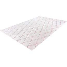 Teppich Calo-deluxe "Jardan-2000" Teppiche Gr. B/L: 160 cm x 230 cm, 20 mm, 1 St., rosa (rosé, weiß) Esszimmerteppiche