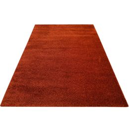 Teppich Esprit "California" Teppiche Gr. B/L: 160 cm x 225 cm, 18 mm, 1 St., orange (terrakotta) Esszimmerteppiche