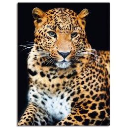 Wandbild Artland "Wütender wilder Leopard" Bilder Gr. B/H: 90 cm x 120 cm, Leinwandbild Wildtiere Hochformat, 1 St., schwarz Kunstdrucke
