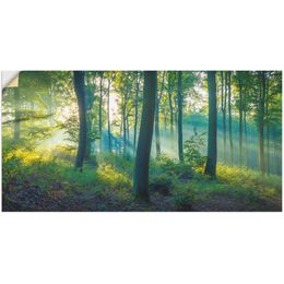 Wandbild Artland "Wald Panorama" Bilder Gr. B/H: 150 cm x 75 cm, Wandaufkleber - Vinyl Waldbilder Querformat, 1 St., grün Kunstdrucke
