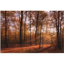 Wandbild Artland "Sonnenaufgang im Herbst II" Bilder Gr. B/H: 90 cm x 60 cm, Alu-Dibond-Druck Wald, 1 St., braun Kunstdrucke