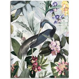 Wandbild Artland "Vintage Kranich" Bilder Gr. B/H: 60 cm x 80 cm, Leinwandbild Vogelbilder Hochformat, 1 St., grau Kunstdrucke