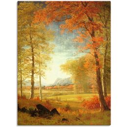 Wandbild Artland "Herbst in Oneida County, New York." Bilder Gr. B/H: 60 cm x 80 cm, Leinwandbild Felder, 1 St., bunt Kunstdrucke
