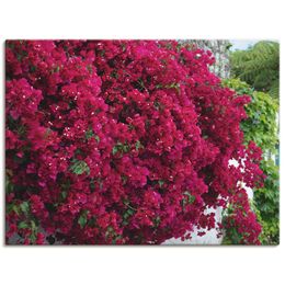 Leinwandbild Artland "Blumen" Bilder Gr. B/H: 80 cm x 60 cm, Blumen Querformat, 1 St., rot Leinwandbilder