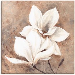 Wandbild Artland "Klassische Magnolien" Bilder Gr. B/H: 100 cm x 100 cm, Leinwandbild Blumen, 1 St., beige (naturfarben) Kunstdrucke