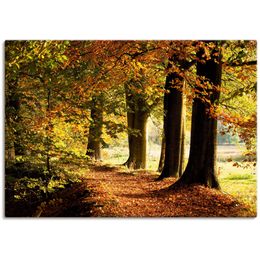Wandbild Artland "Herbstfarben" Bilder Gr. B/H: 100 cm x 70 cm, Leinwandbild Bäume, 1 St., gelb Kunstdrucke