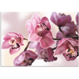 Wandbild Artland "Rosa Orchidee" Bilder Gr. B/H: 100 cm x 70 cm, Alu-Dibond-Druck Blumenbilder Querformat, 1 St., pink Kunstdrucke
