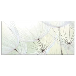 Küchenrückwand Artland "Pusteblumen-Samen aufgehellt" Spritzschutzwände Gr. B/H: 120 cm x 55 cm, grün Küchendekoration