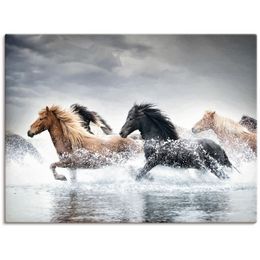 Wandbild Artland "Pferderennen V" Bilder Gr. B/H: 80 cm x 60 cm, Leinwandbild Pferdebilder Querformat, 1 St., beige (naturfarben) Kunstdrucke