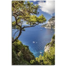 Wandbild Artland "Punta de Masullo, Insel Capri, Italien" Bilder Gr. B/H: 60 cm x 90 cm, Leinwandbild Meer Bilder Hochformat, 1 St., blau Kunstdrucke