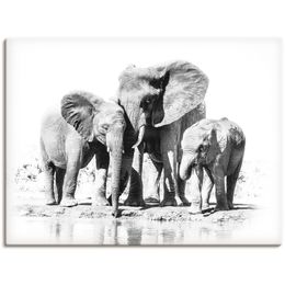 Wandbild Artland "Elefantenmutter mit Kindern" Bilder Gr. B/H: 80 cm x 60 cm, Leinwandbild Elefanten Bilder Querformat, 1 St., schwarz Kunstdrucke