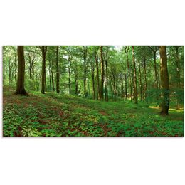 Glasbild Artland "Panorama von einem grünen Sommerwald" Bilder Gr. B/H: 100 cm x 50 cm, Wald, 1 St., grün Glasbilder