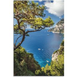 Wandbild Artland "Punta de Masullo, Insel Capri, Italien" Bilder Gr. B/H: 60 cm x 90 cm, Alu-Dibond-Druck Meer Bilder Hochformat, 1 St., blau Kunstdrucke