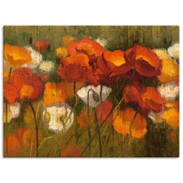 Wandbild Artland "Das starke Rot II" Bilder Gr. B/H: 80 cm x 60 cm, Leinwandbild Blumenwiese Querformat, 1 St., orange Kunstdrucke