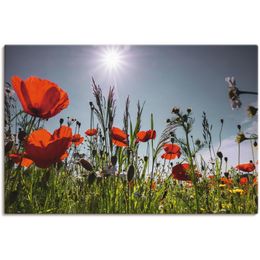 Wandbild Artland "Mohnblumenwiese" Bilder Gr. B/H: 90 cm x 60 cm, Leinwandbild Blumenwiese, 1 St., rot Kunstdrucke