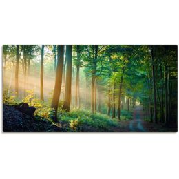 Wandbild Artland "Herbstmorgen im Wald" Bilder Gr. B/H: 100 cm x 50 cm, Leinwandbild Waldbilder Querformat, 1 St., grün Kunstdrucke