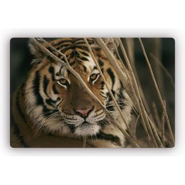 Glasbild Wall-Art "Tiger" Bilder Gr. B/H: 100 cm x 70 cm, braun Glasbilder