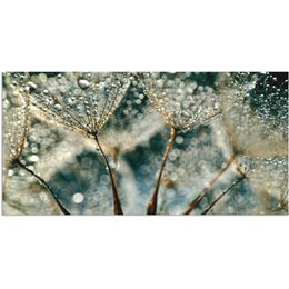 Wandbild Artland "Pusteblume Regenschauer" Bilder Gr. B/H: 100 cm x 50 cm, Alu-Dibond-Druck Blumen, 1 St., grau Kunstdrucke