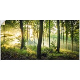 Wandbild Artland "Herbst im Wald II" Bilder Gr. B/H: 150 cm x 75 cm, Wandaufkleber - Vinyl Waldbilder Querformat, 1 St., grün Kunstdrucke