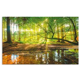 Küchenrückwand Artland "Wald mit Bach" Spritzschutzwände Gr. B/H: 80 cm x 50 cm, grün Küchendekoration