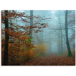 Wandbild Artland "Nebel im Herbstwald" Bilder Gr. B/H: 80 cm x 60 cm, Leinwandbild Wald, 1 St., braun Kunstdrucke