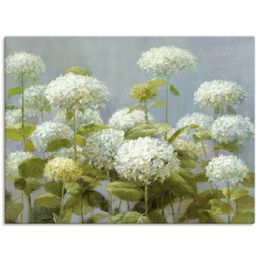 Wandbild Artland "Weißer Hortensien Garten" Bilder Gr. B/H: 80 cm x 60 cm, Leinwandbild Blumen Querformat, 1 St., weiß Kunstdrucke