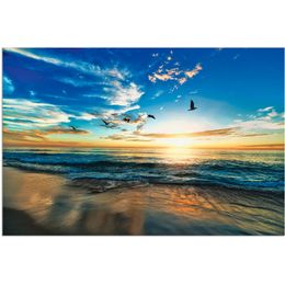 Wandbild Artland "Strand Möwen Meer Sonnenuntergang" Bilder Gr. B/H: 90 cm x 60 cm, Alu-Dibond-Druck Sonnenaufgang & -untergang, 1 St., blau Kunstdrucke
