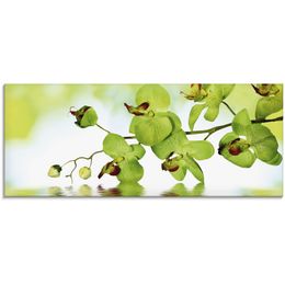 Glasbild Artland "Schöne Orchidee mit grünem Hintergrund" Bilder Gr. B/H: 125 cm x 50 cm, Blumen, 1 St., grün Glasbilder