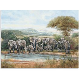 Wandbild Artland "Elefantenfamilie" Bilder Gr. B/H: 80 cm x 60 cm, Alu-Dibond-Druck Elefanten Bilder Querformat, 1 St., grün Kunstdrucke