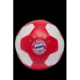 FC Bayern München FC Bayern München Softball Bayern München Softball rot/weiß