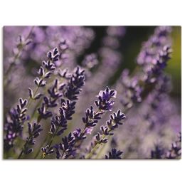 Wandbild Artland "Lavendel" Bilder Gr. B/H: 80 cm x 60 cm, Leinwandbild Blumen Querformat, 1 St., lila Kunstdrucke