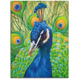 Wandbild Artland "Pfau" Bilder Gr. B/H: 60 cm x 80 cm, Leinwandbild Vögel, 1 St., blau Kunstdrucke