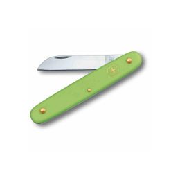 Victorinox Taschenmesser Blumenmesser gerade Klinge 100 mm pastellgrün auf Blister