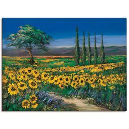 Leinwandbild Artland "Sonnenblumenfeld" Bilder Gr. B/H: 80 cm x 60 cm, Blumen Querformat, 1 St., gelb Leinwandbilder
